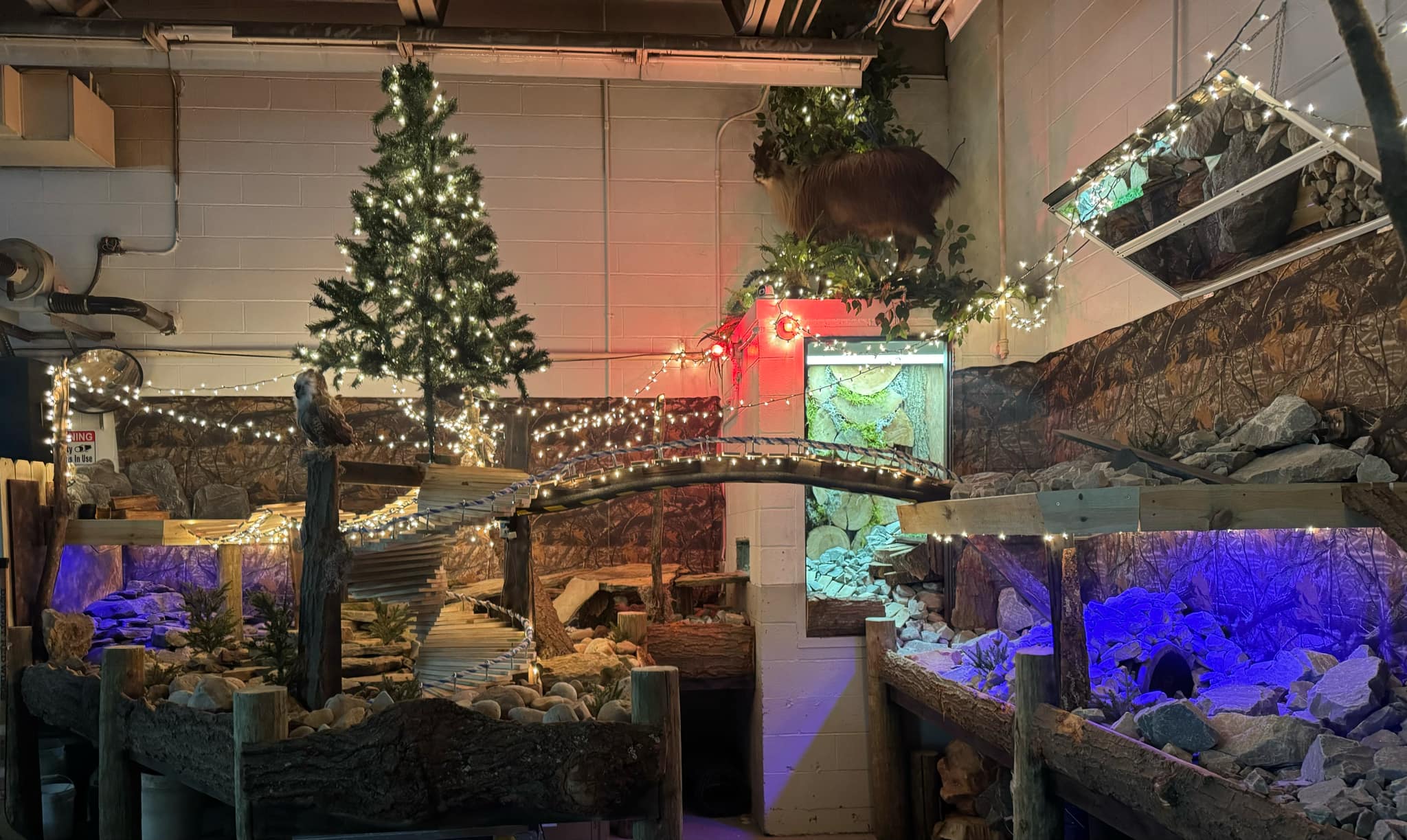 Iron City RC Hobbies