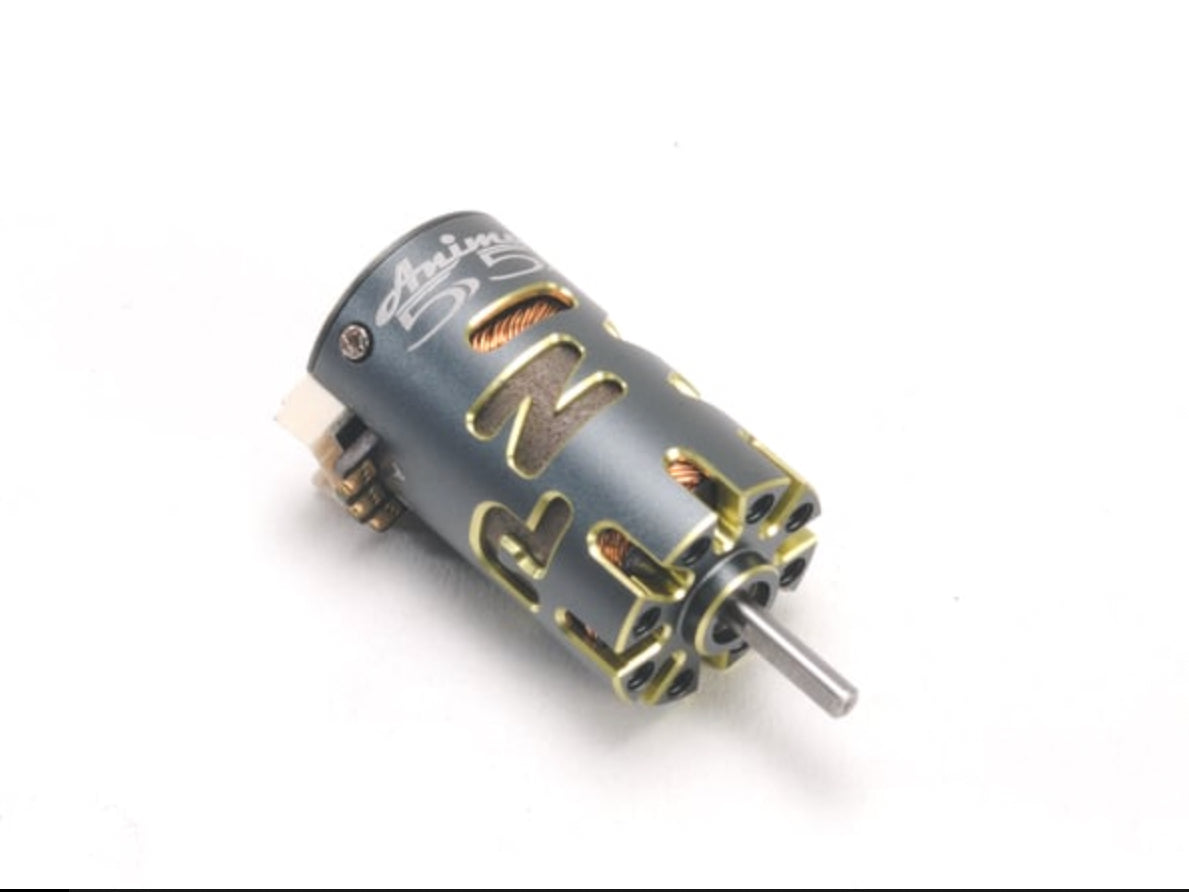 PN Racing Anima 5500kv Sensored Brushless Motor – Iron City RC Hobbies